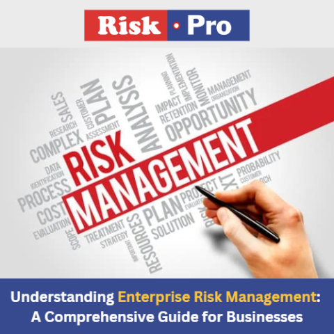 Understanding Enterprise Risk Management: A Comprehensive Guide for Businesses | Riskpro India ...